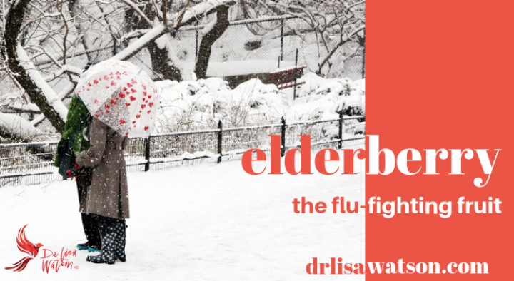 Elderberry - the Flu Fighting Fruit | Dr. Lisa Watson