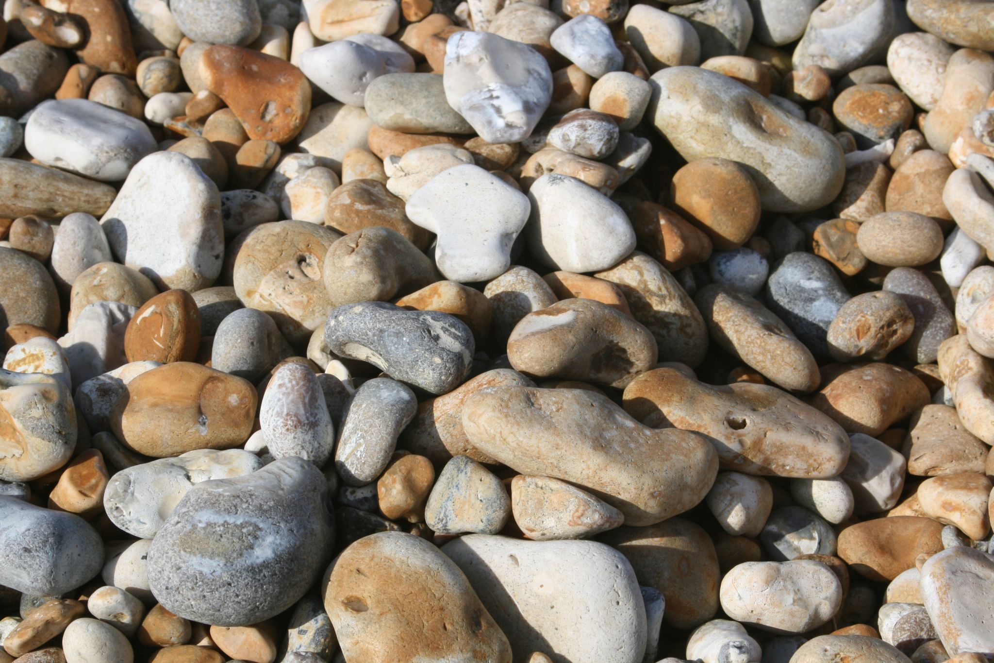 Gallstone Diet and Supplements | Dr. Lisa Watson
