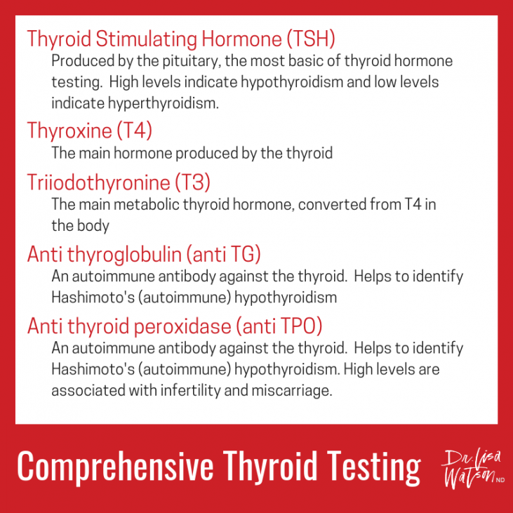 Thyroid Health in Perimenopause | Dr. Lisa Watson